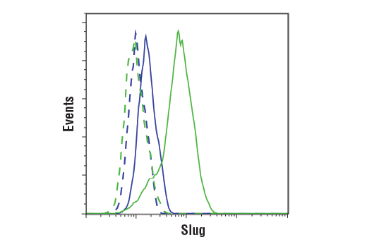 Slug (C19G7) Rabbit mAb